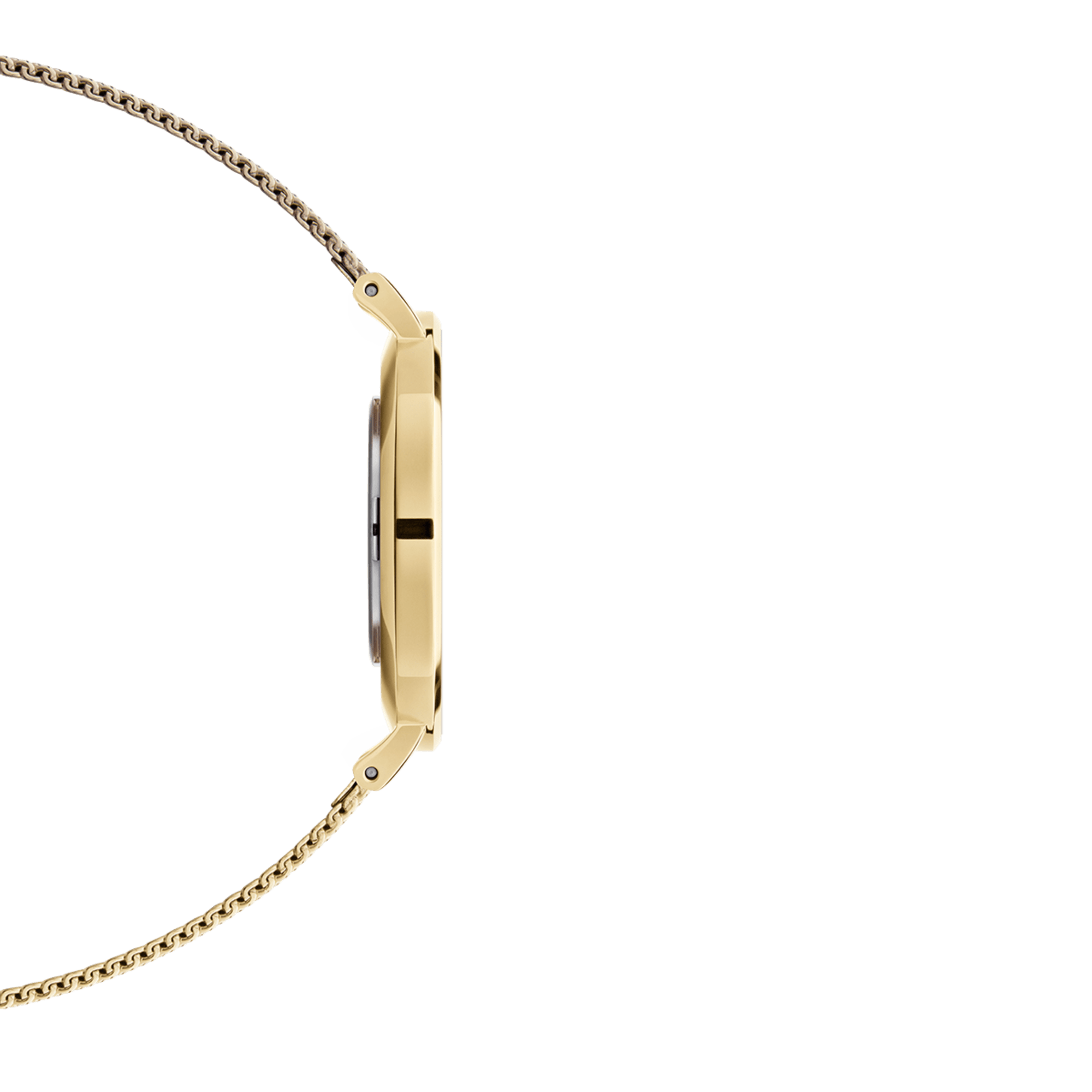 Petite Evergold – Gold & White in 36 mm | DW